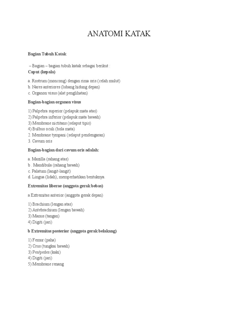 Anatomi Katak | PDF
