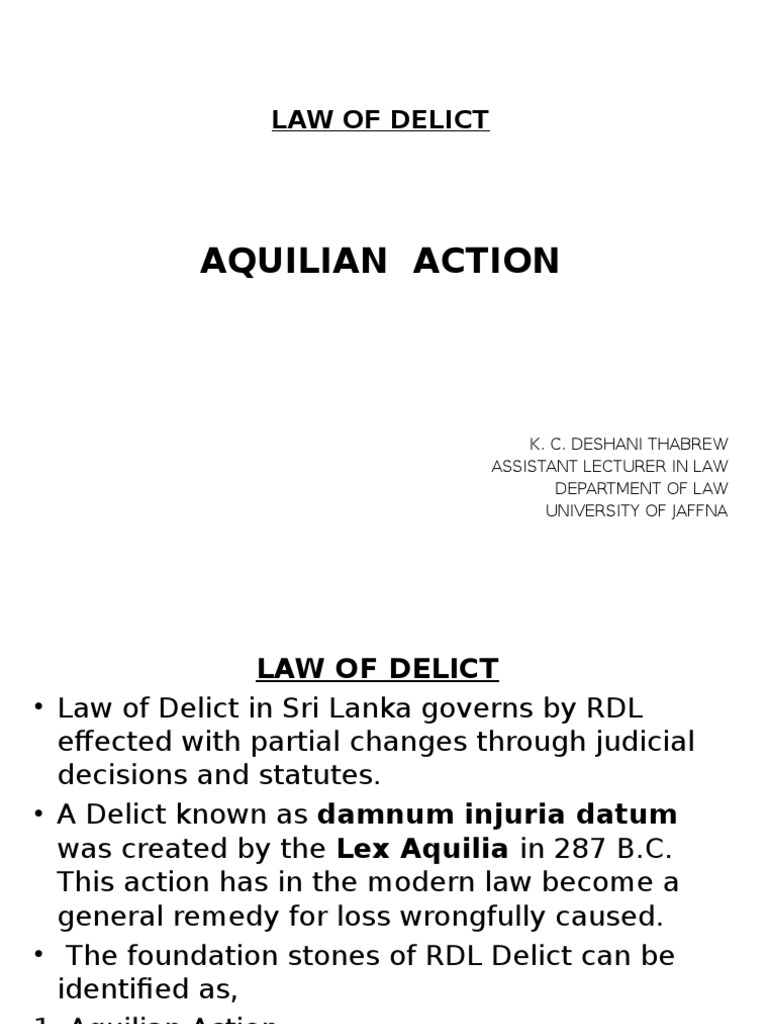 Law of Delict PPP | PDF | Negligence | Causation (Law)
