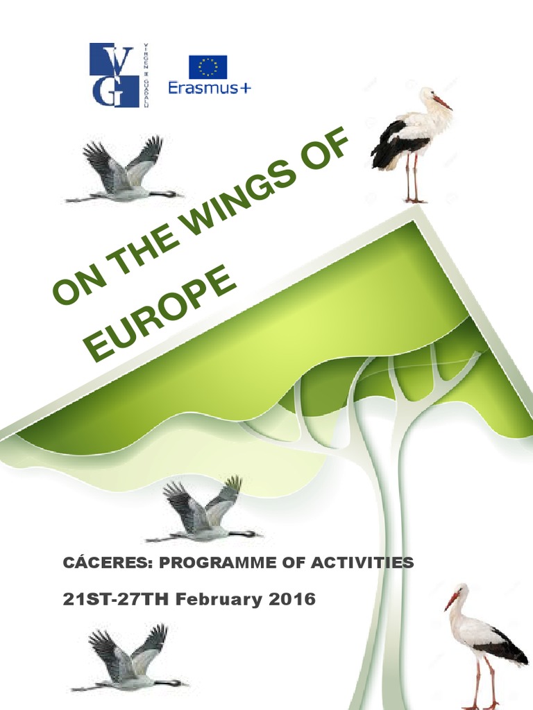 Cáceres Erasmus Activities Schedule | PDF