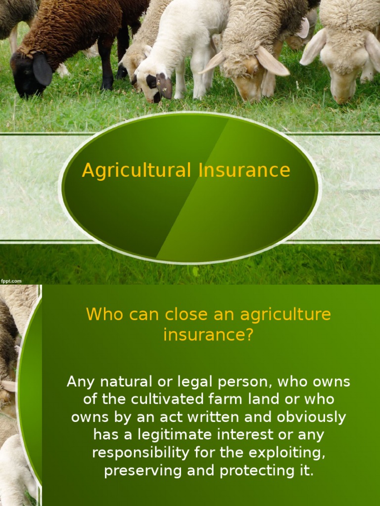 Agricultural Insurance | PDF | Crop Insurance | Insurance