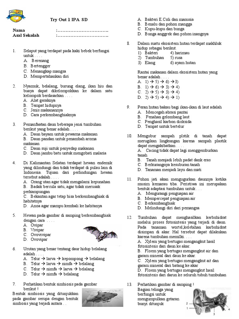 Soal Try Out IPA Kelas 6 | PDF | Ilmu Sosial | Sains & Matematika