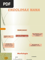 Retortamonas intestinalis: Protozoo Intestinal | PDF | Biología | Medicina