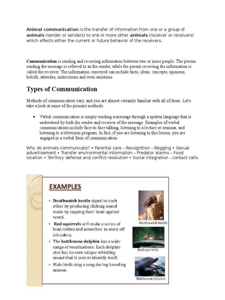Definition Animal Communication | PDF | Communication | Human