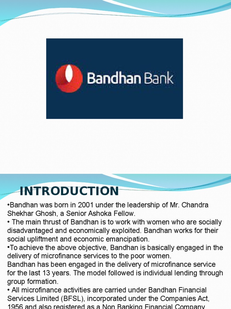 Bandhan Bank | Download Free PDF | Microfinance | Loans