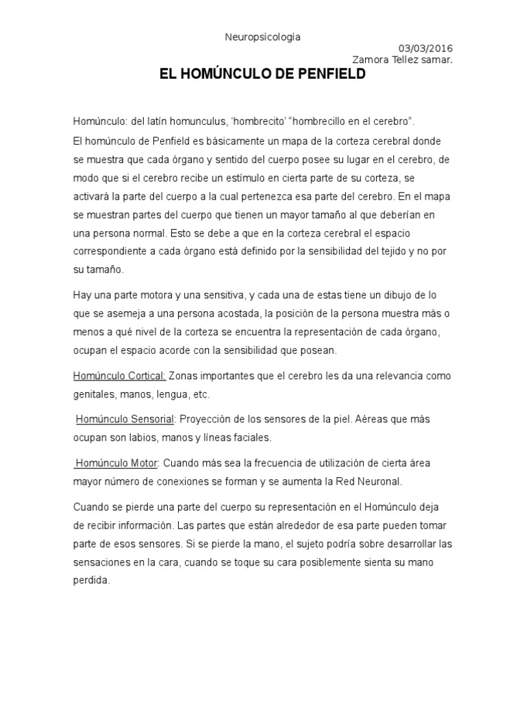 Homunculo | PDF | Ciencia y matemáticas