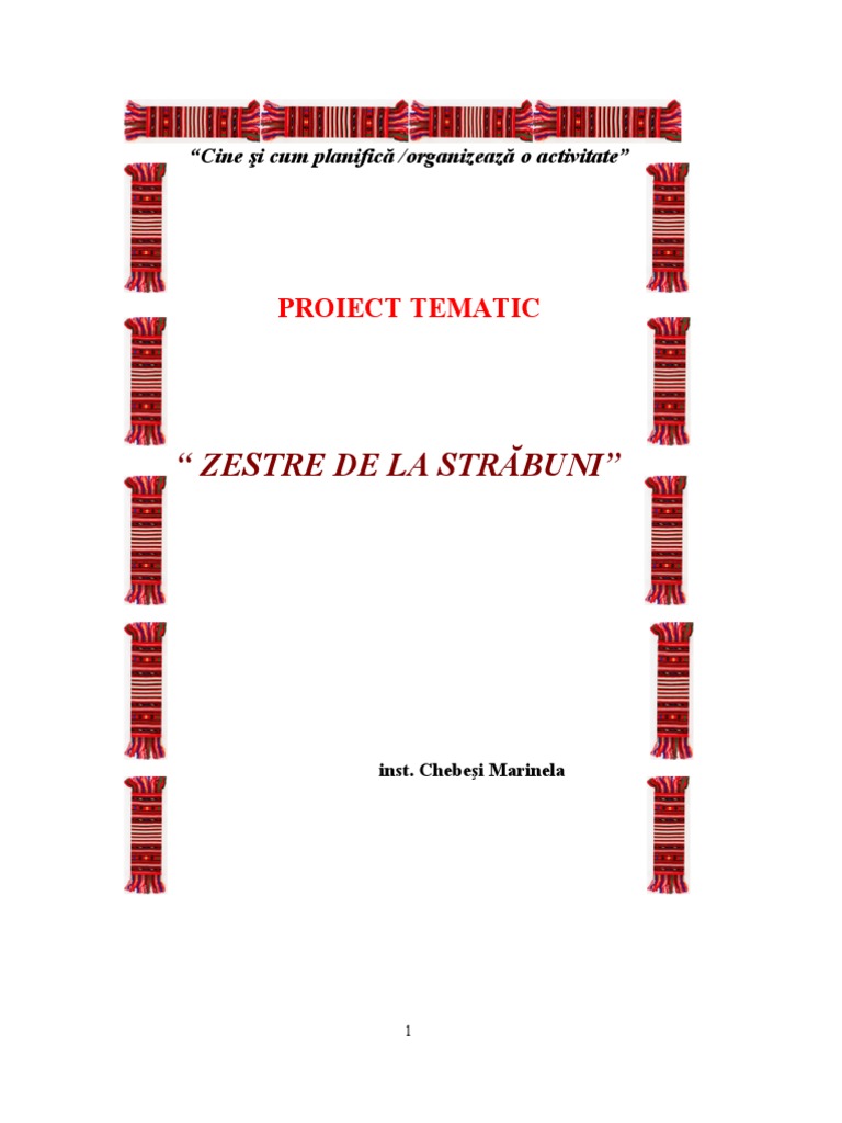 Proiect Tematic | PDF