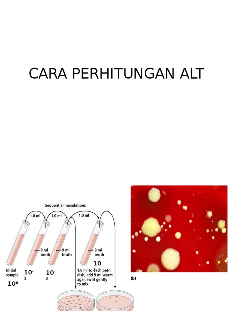 Perhitungan Alt JPT | PDF