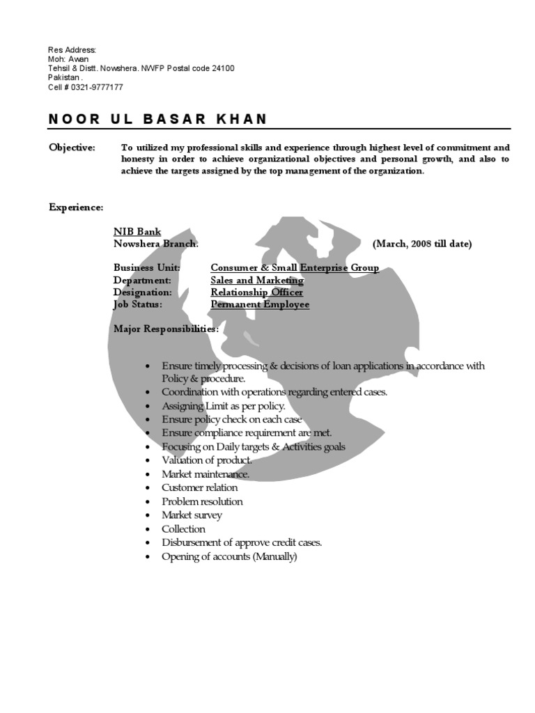 My CV | PDF | Computing | Business