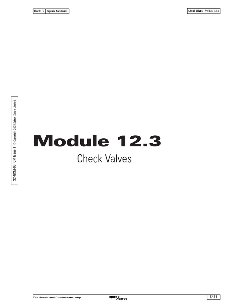 Check Valves | PDF | Valve | Flow Measurement