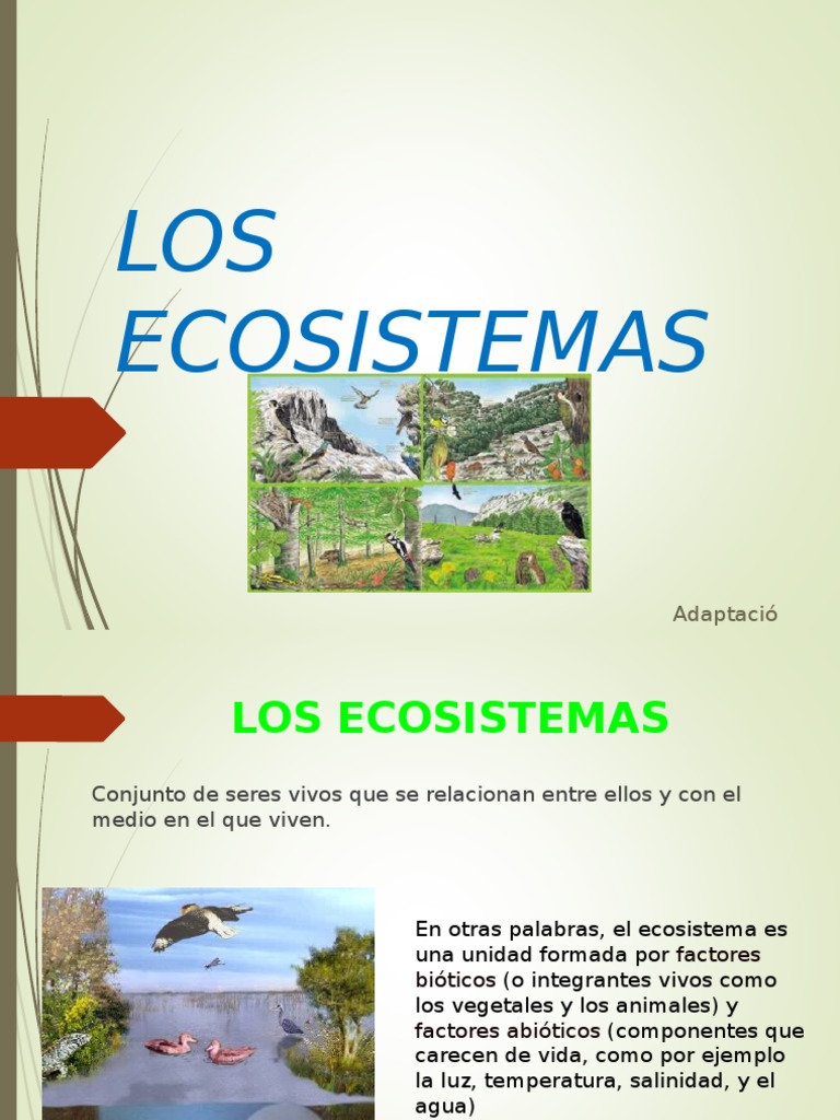 Todo Sobre Ecosistemas | PDF | Ecosistema | Biogeoquímica