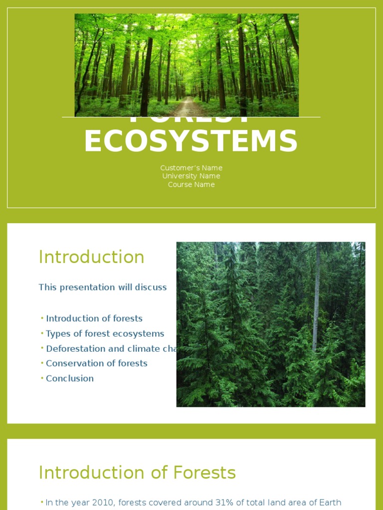 Understanding Forest Ecosystems and Deforestation | PDF | Forests ...