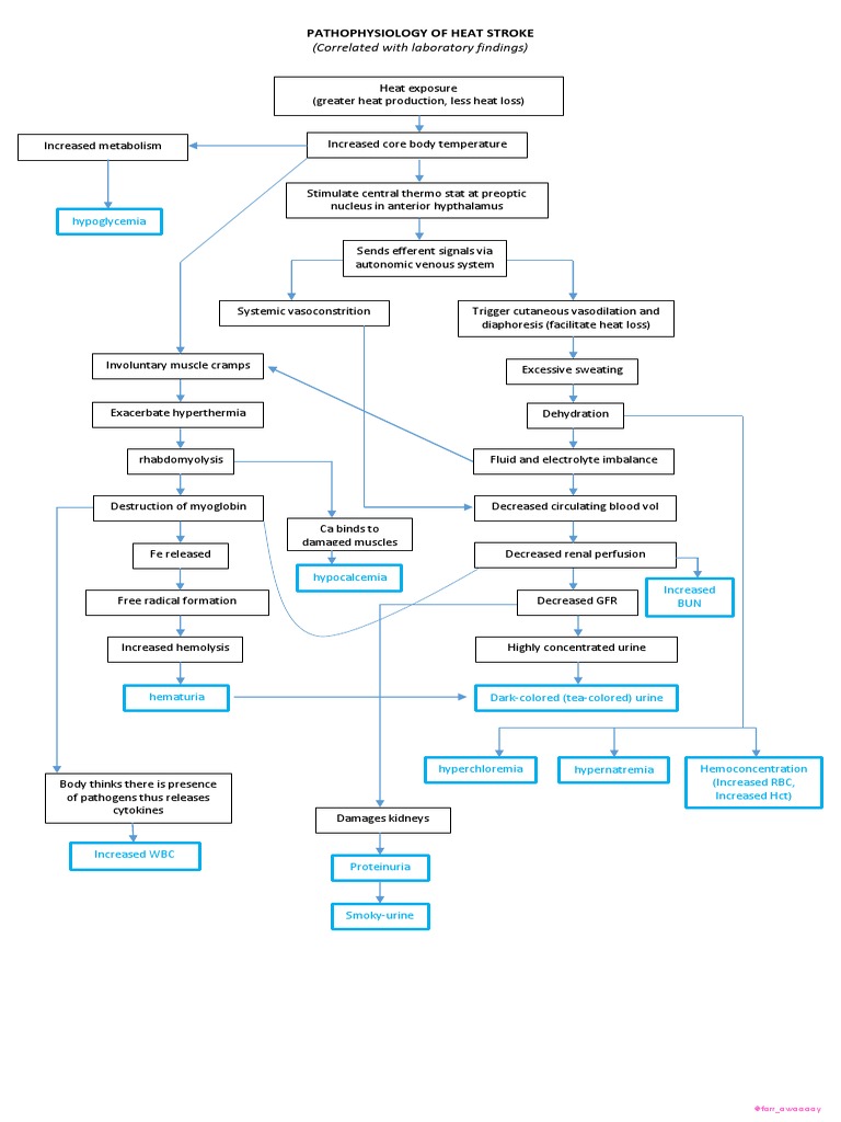 Pathophysiology of Heat Stroke