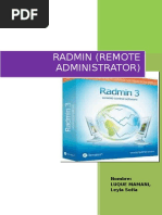 Radmin VPN Tutorial | PDF