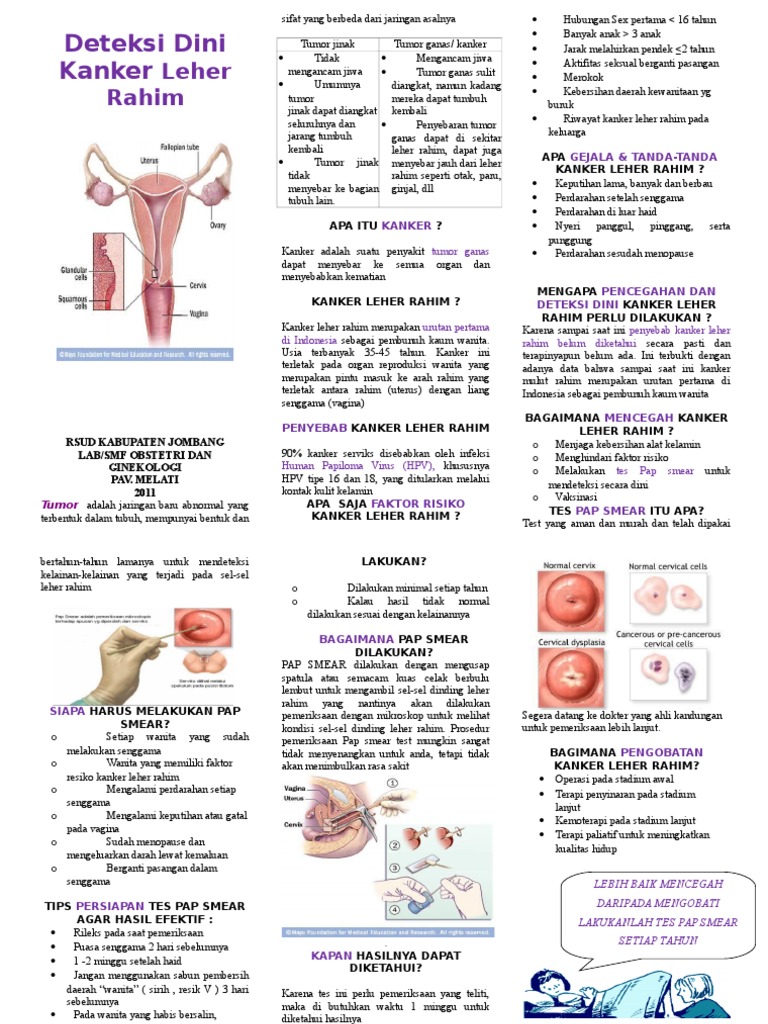 LEAFLET Pap Smear | PDF | Sains & Matematika