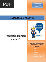PLATICA DE 5 MINUTOS - Equipo de Proteccion | PDF | La seguridad