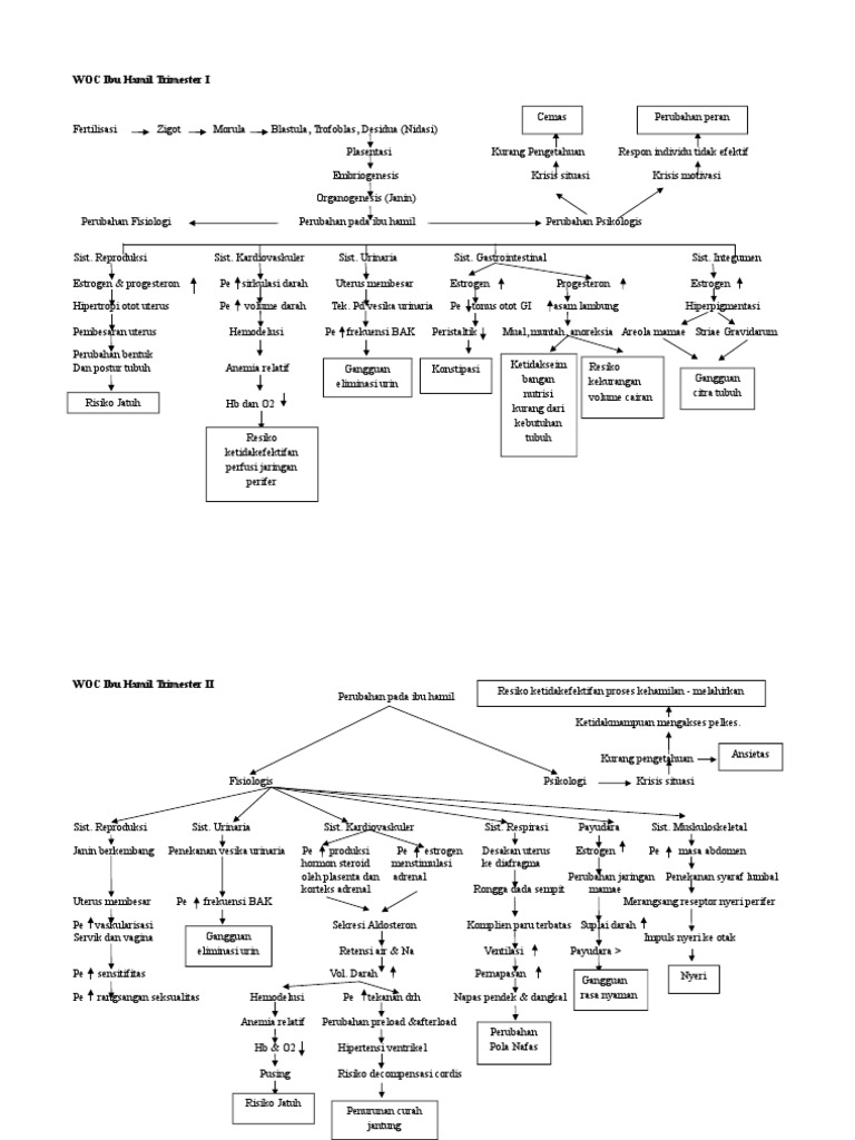 Woc Kehamilan Pertrimester | PDF | Pengembangan Diri | Sains & Matematika