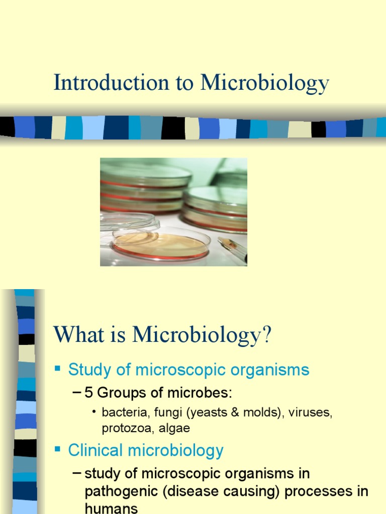1A Introduction To Microbiology Handouts | PDF | Bacteria | Lipopolysaccharide
