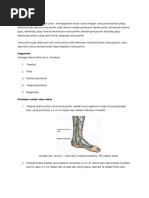 Contusio Musculorum | PDF