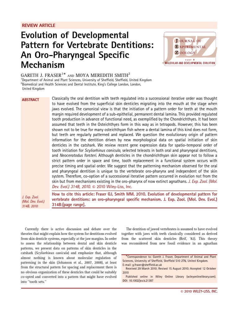 Teeth Evolution | PDF | Tooth | Evolution
