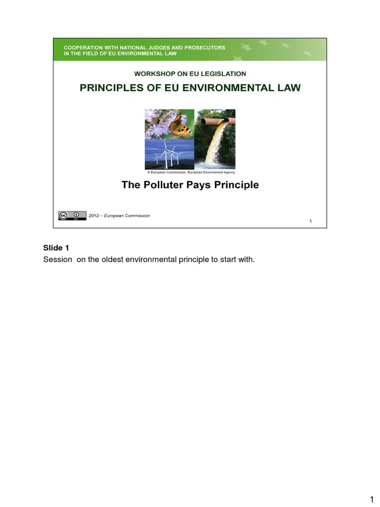 2 Polluter Pays Principle - Revised PDF | PDF | Public–Private ...