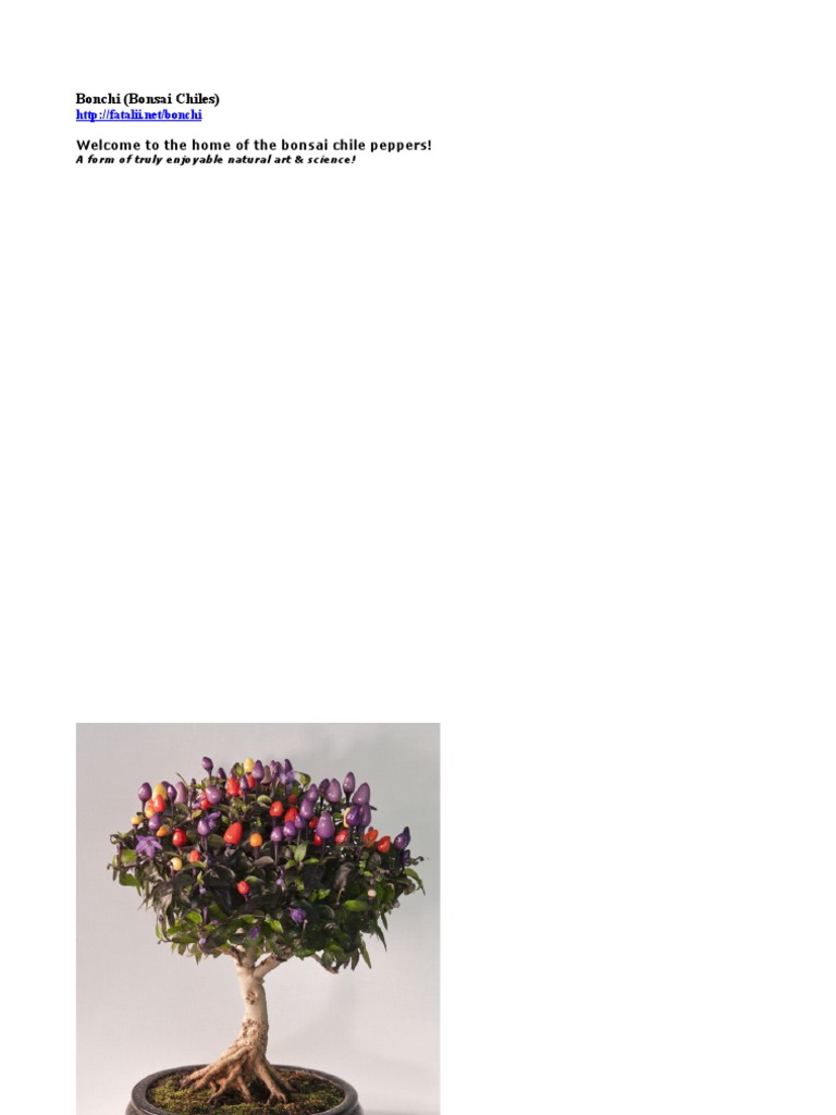 Bonsai Cabe | Download Free PDF | Bonsai | Root