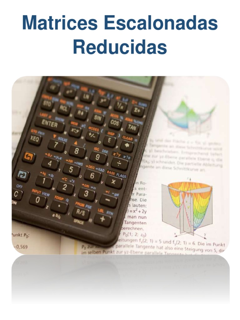 Matrices Escalonadas Reducidas | PDF | Teoría de la matriz | Matriz ...
