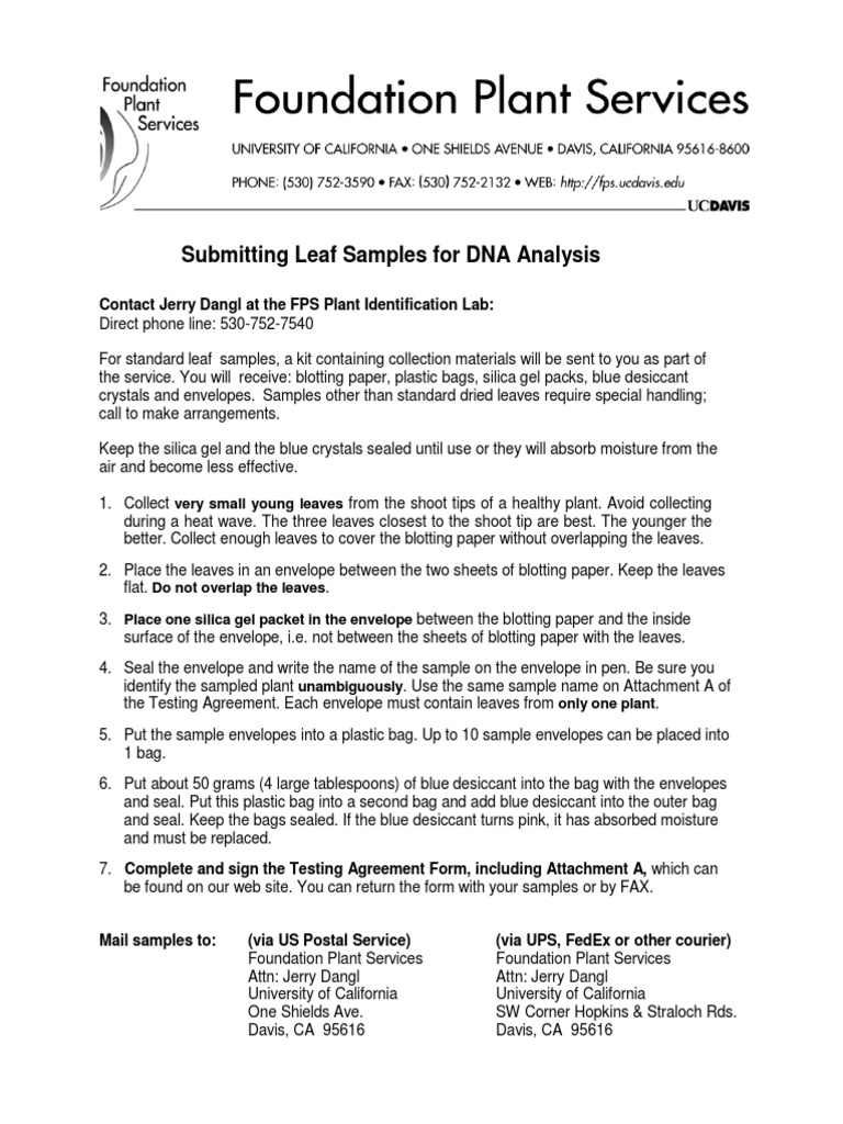 Leaf Sample Submission for DNA Testing | PDF | Home & Garden | Wellness