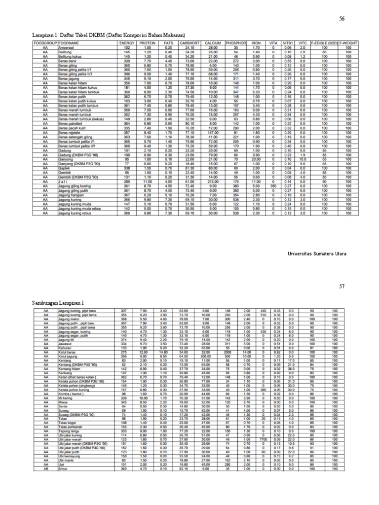 Daftar Tabel DKBM (Daftar Komposisi Bahan Makanan) | PDF