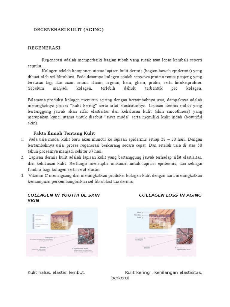 Degenerasi Kulit | PDF