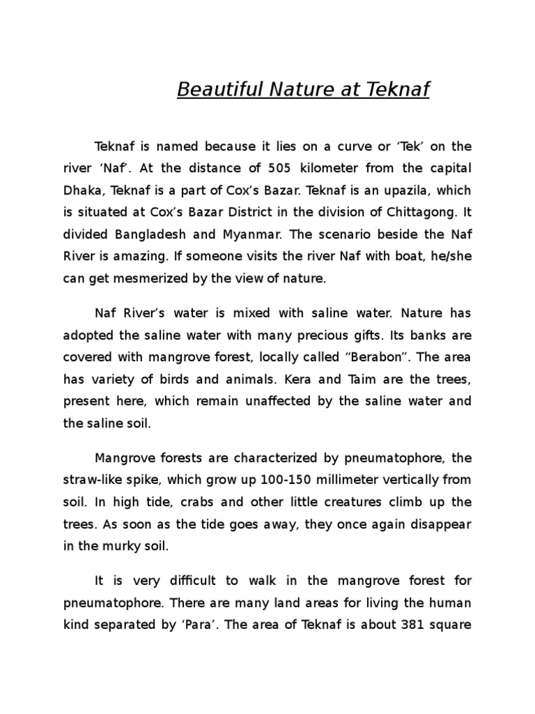 Beautiful Nature at Teknaf and Culture | PDF | Bengal | River