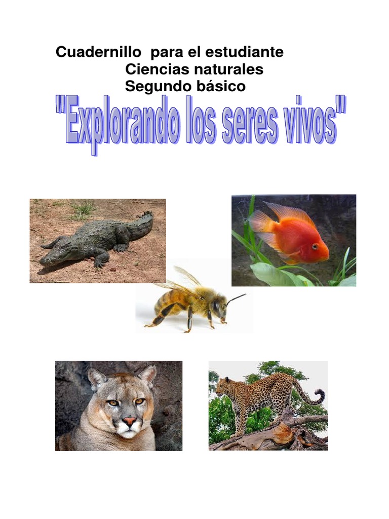 Introducción al estudio de los seres vivos | PDF