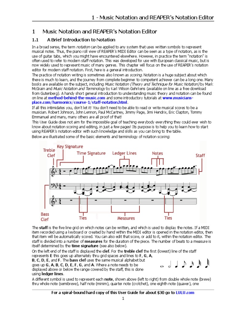 Reaper Notation Editor Intro Guide | PDF | Clef | Musical Notation