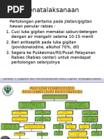 Buku Tata Laksana GPHR Rabies 2023 REV-3 | PDF