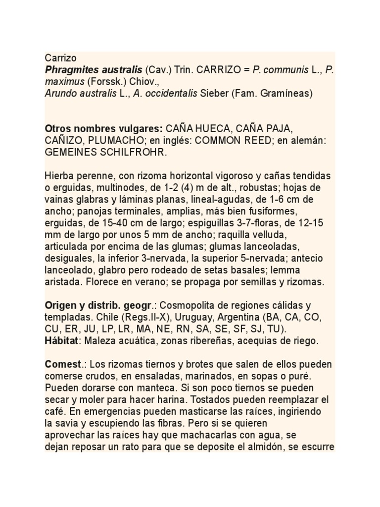 Características y usos del carrizo | PDF