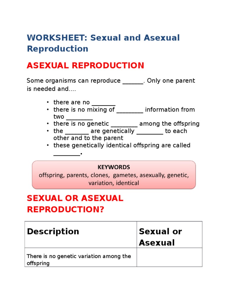 WORKSHEET: Sexual and Asexual Reproduction | PDF