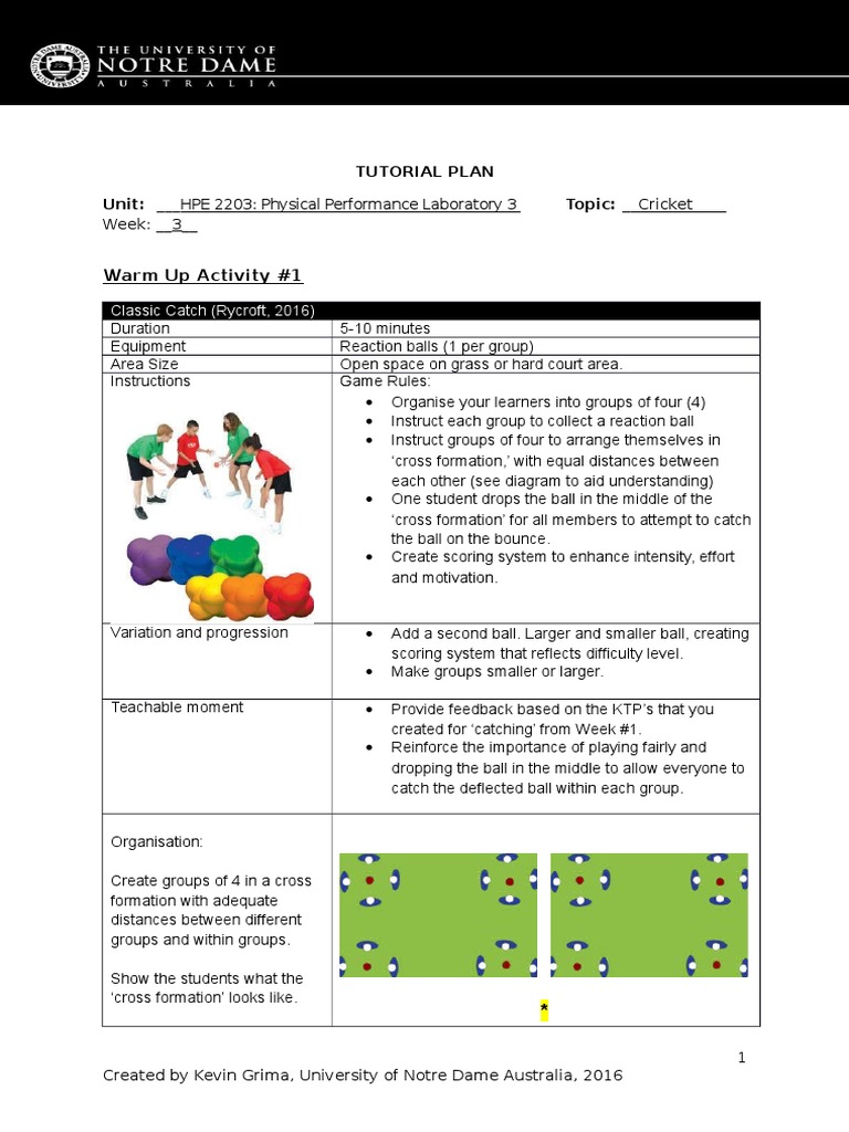 Continuous Cricket Tutorial Plan | PDF | Bowling (Cricket) | Cricket