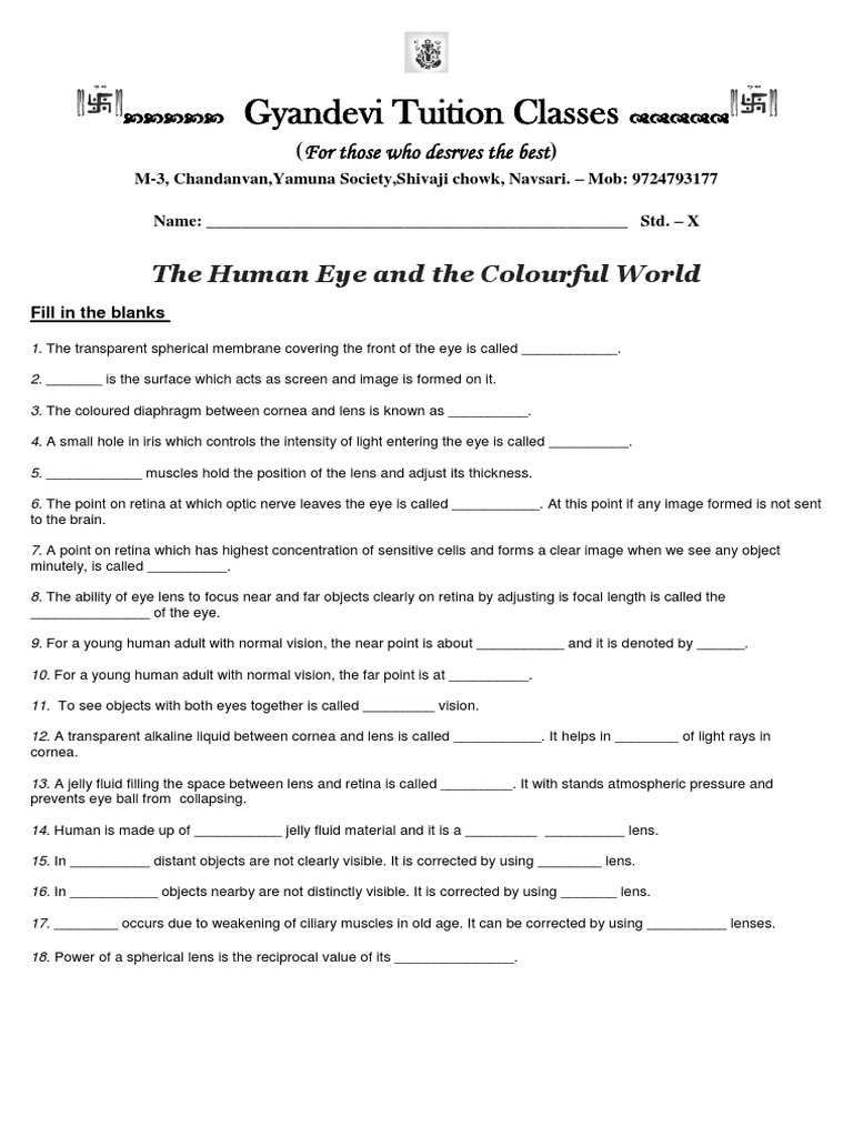 Eye Anatomy and Vision Defects Quiz | PDF | Human Eye | Eye