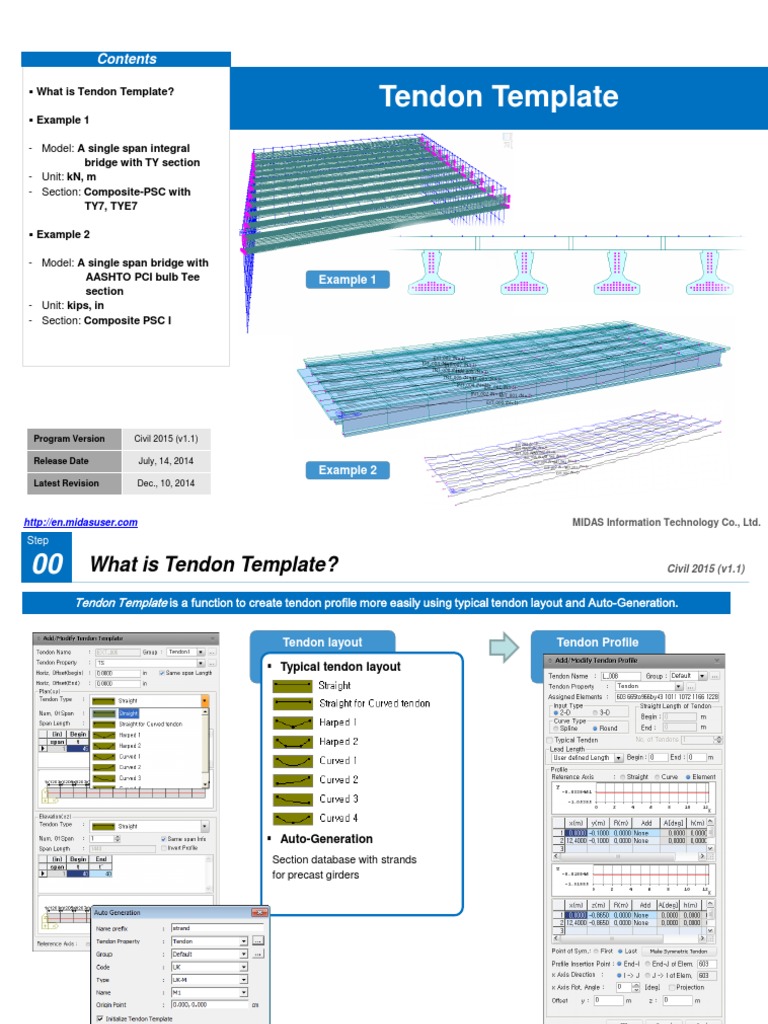 Tendon Template | PDF | Prestressed Concrete | Structural Engineering