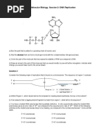 Gel Electrophoresis Basics Worksheet: Name | PDF | Gel Electrophoresis ...