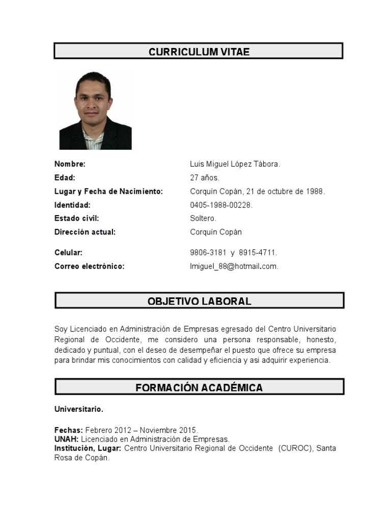 Curriculum Luis | PDF | Microsoft | Iniciativa empresarial