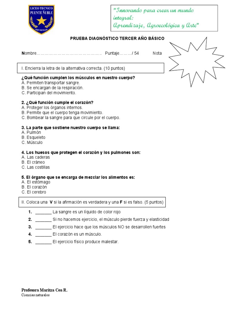 Prueba Diagnóstica Ciencias Naturales 3° | PDF | Artes del Lenguaje y ...