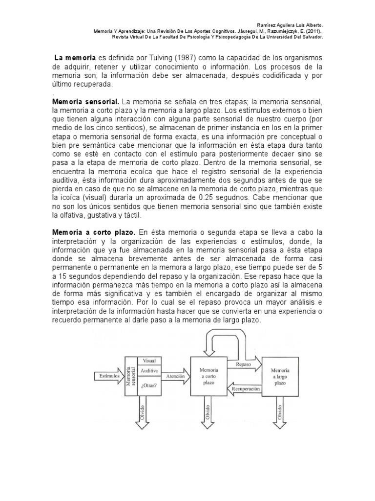 La Memoria Es Definida Por Tulving | PDF | Memoria | Neuropsicología