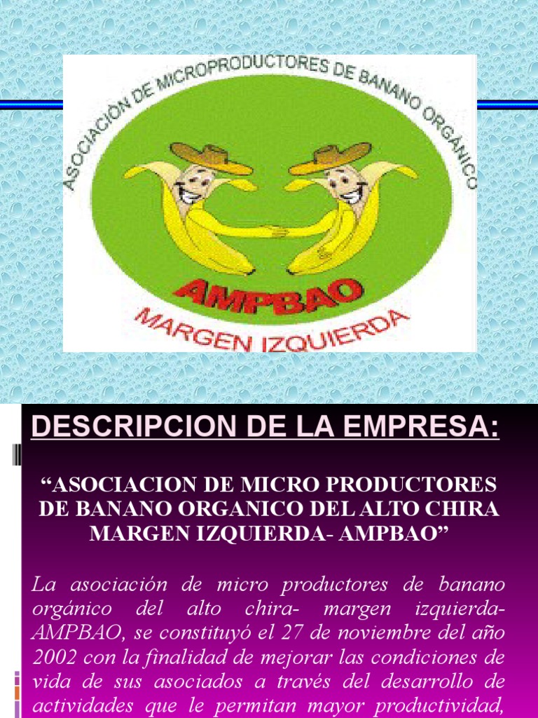 AMBAO | Descargar gratis PDF | Deuda | Agricultura