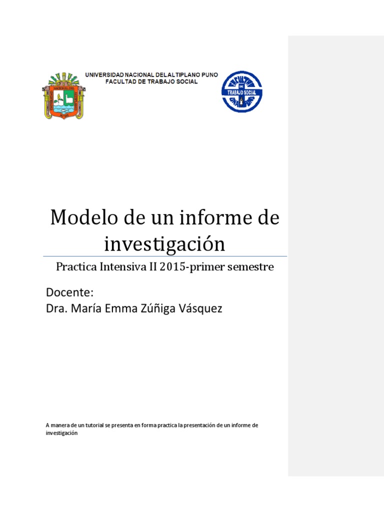 Modelo De Informe De Investigacion Interna
