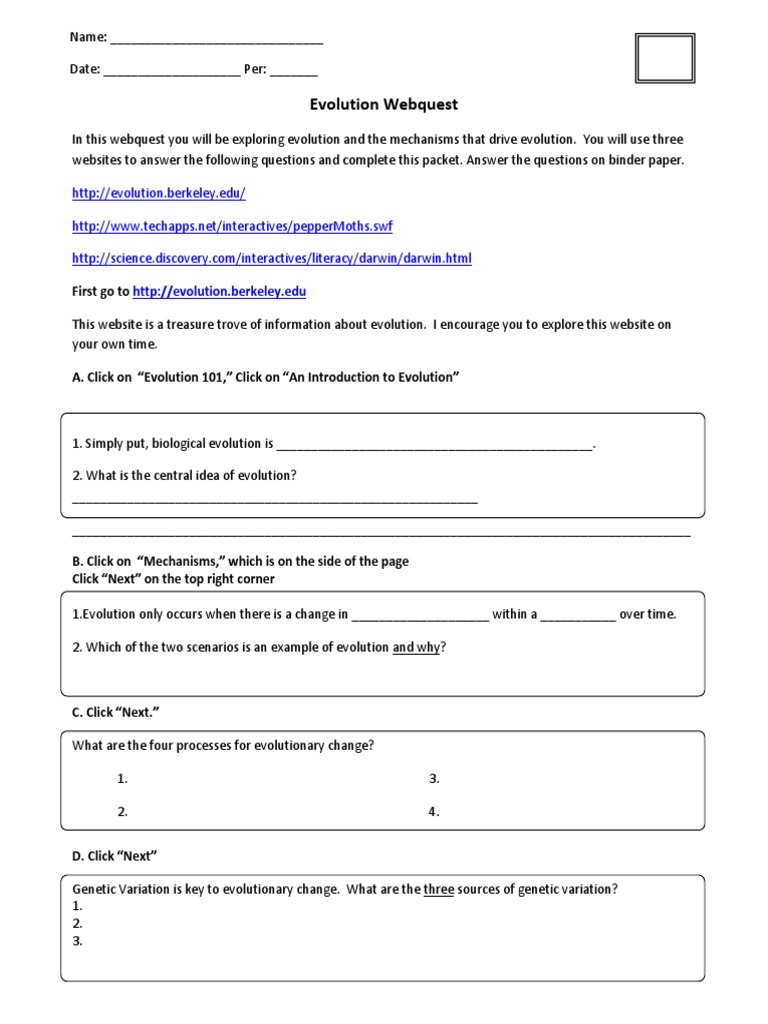 Evolution Webquest | PDF | Evolution | Mutation