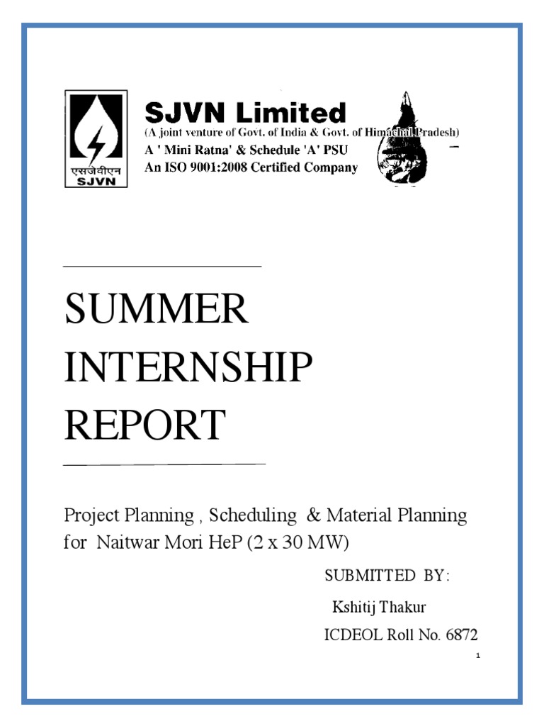 MBA Summer Term Report | PDF | Hydroelectricity | Energy And Resource