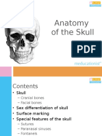 Chapter 7 Lab Assignment - Axial Skeleton Labeling | PDF | Vertebra | Skull