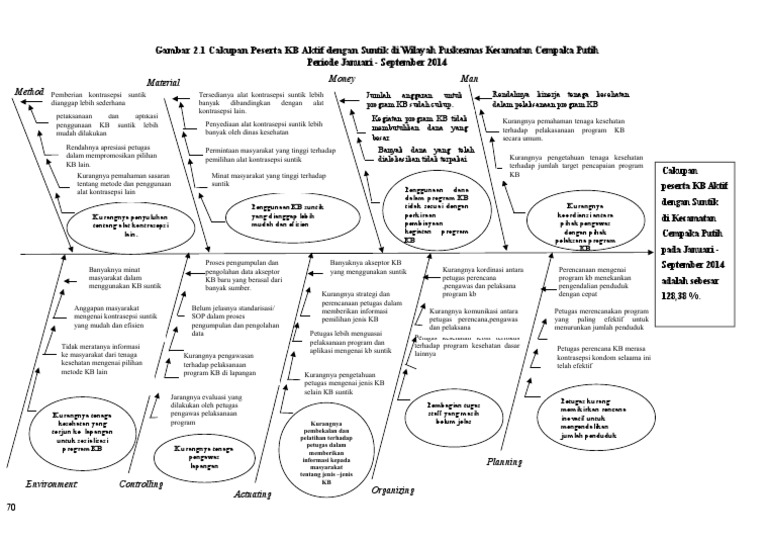 Fishbone KB Aktif Suntik | PDF