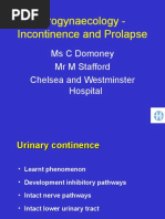 Q Tip Test | PDF | Urinary Incontinence | Urinary System