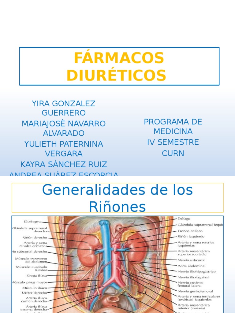 Fármacos Diuréticos | PDF | Farmacocinética | Riñón